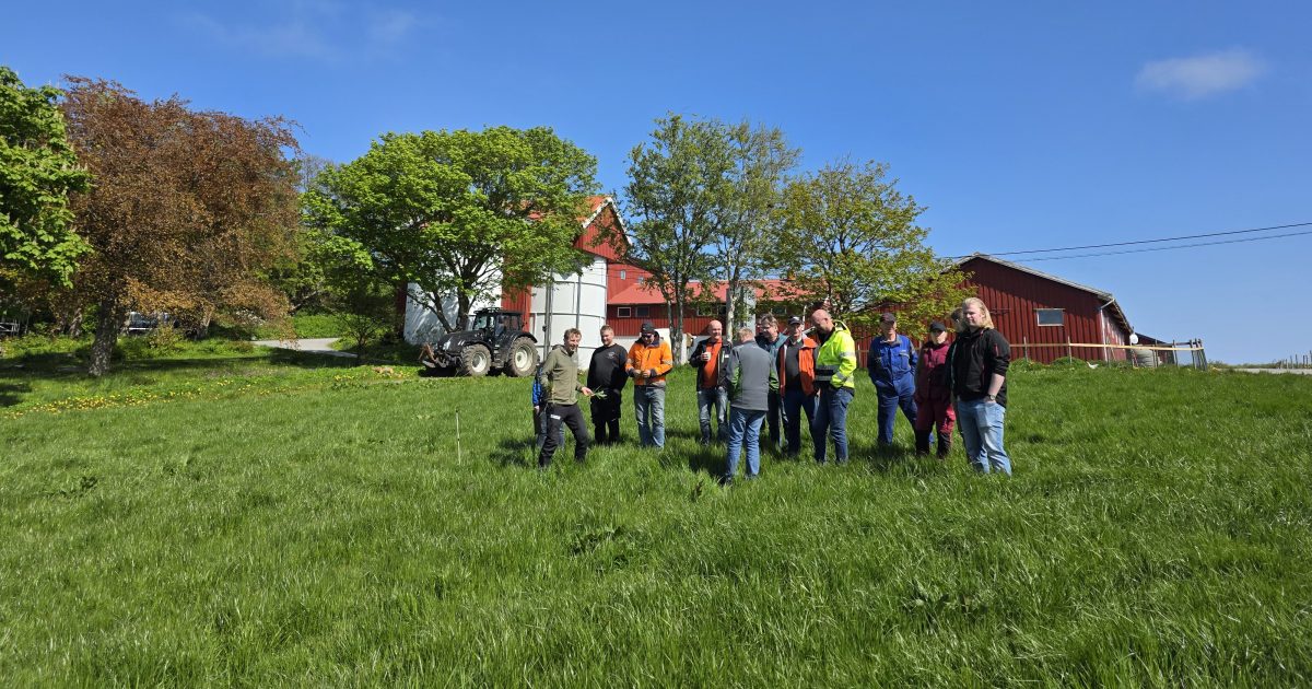 Markdag på Fjørtofta | Norsk Landbruksrådgiving